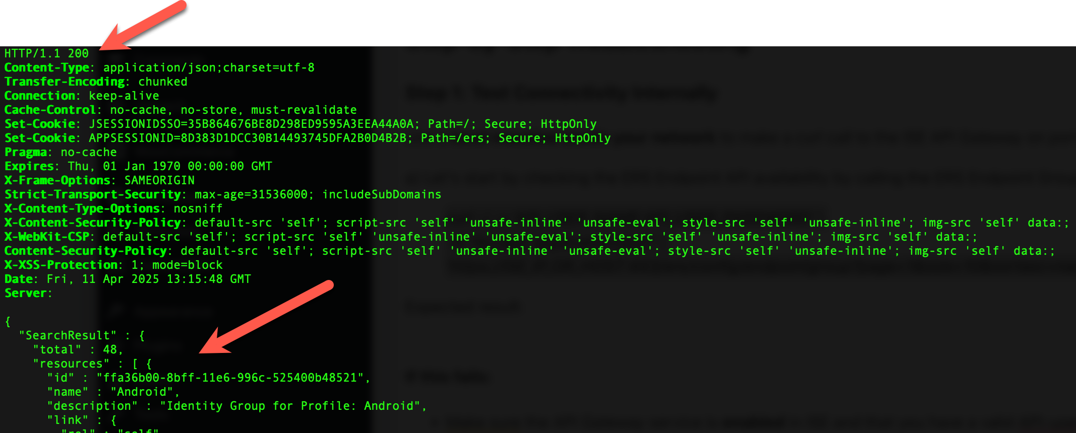 API Gateway Connectivity Troubleshooting Guide - Netgraph